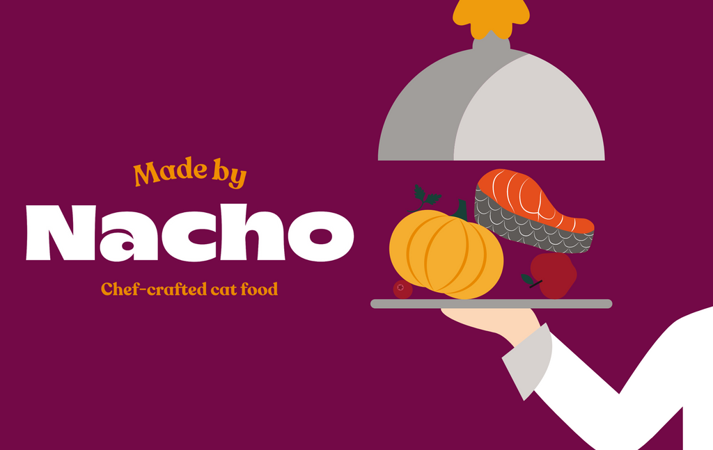 Made by Nacho Gift Card – Made By Nacho