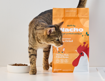 Made by Nacho - Chef-Crafted Cat Food – Made By Nacho