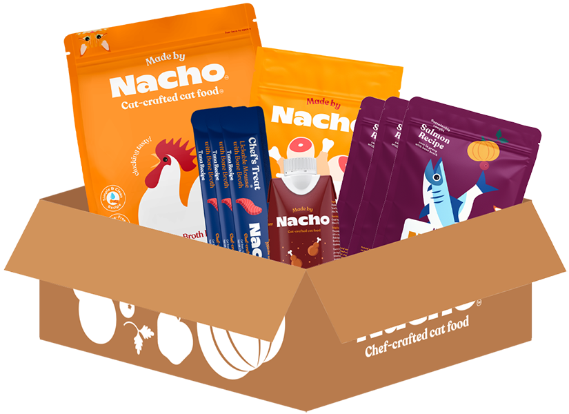 Made by Nacho Starter Kit – Made By Nacho